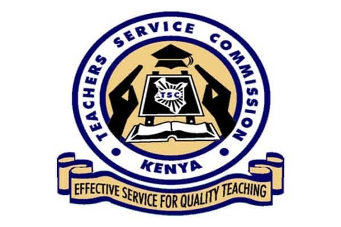 Inside the Legal Battle Over the TSC CEO Succession: How One Petition ...